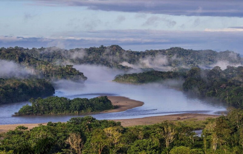 Ecuador Amazon Birding Tour | Birding Man