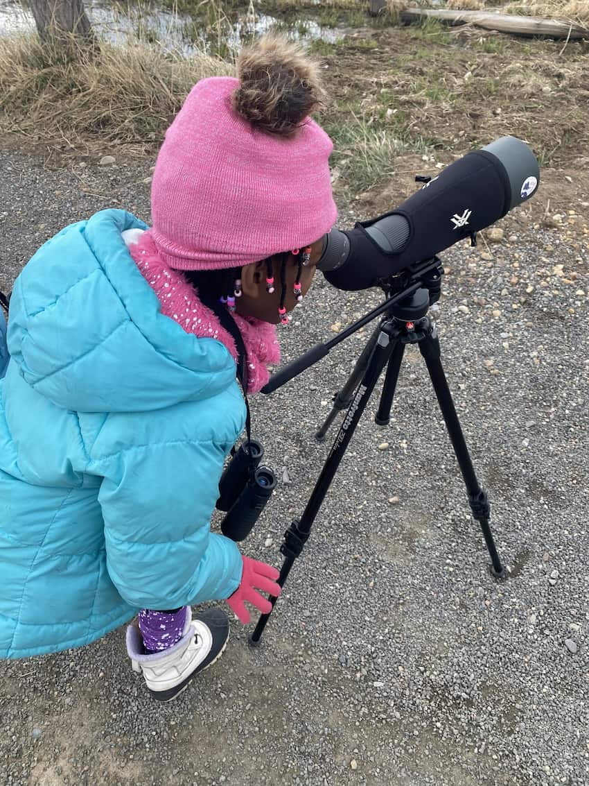 Colorado Beginner Birding Class | Birding Man